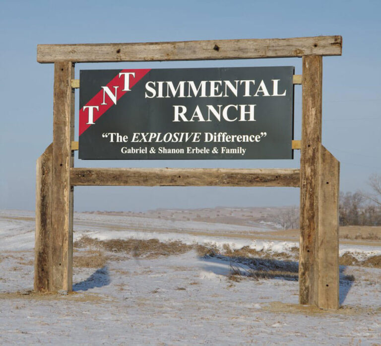 TNT Simmental Ranch - Lehr, ND